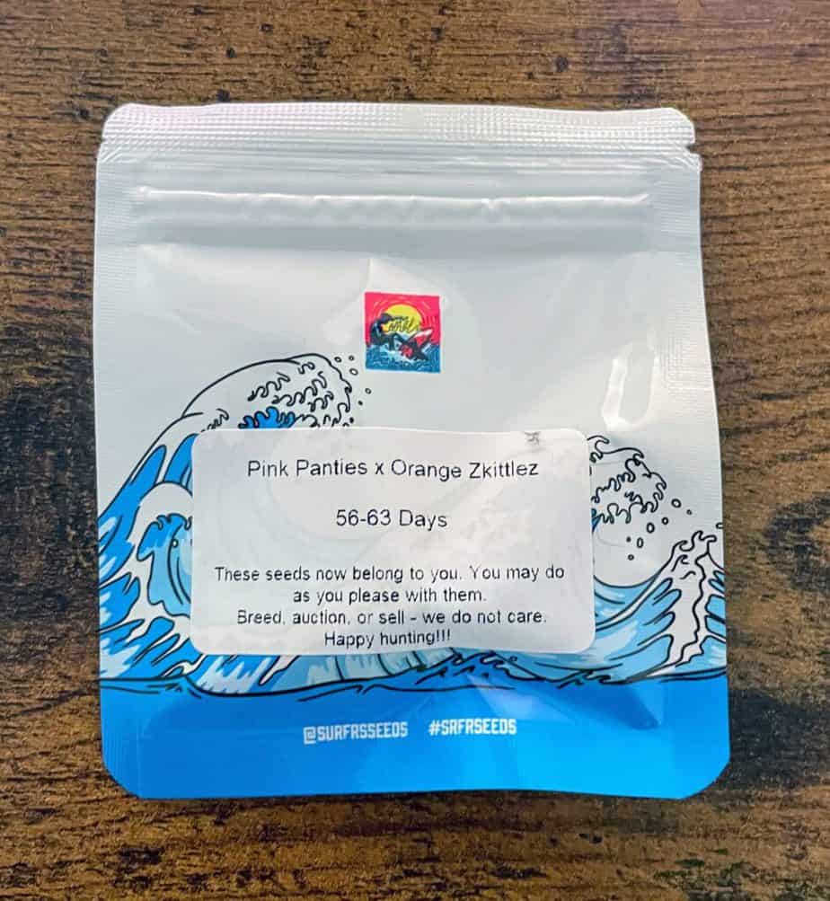 Surfr Seeds - Luscious Genetics