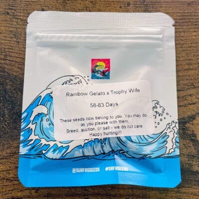 Surfr Seeds - Luscious Genetics