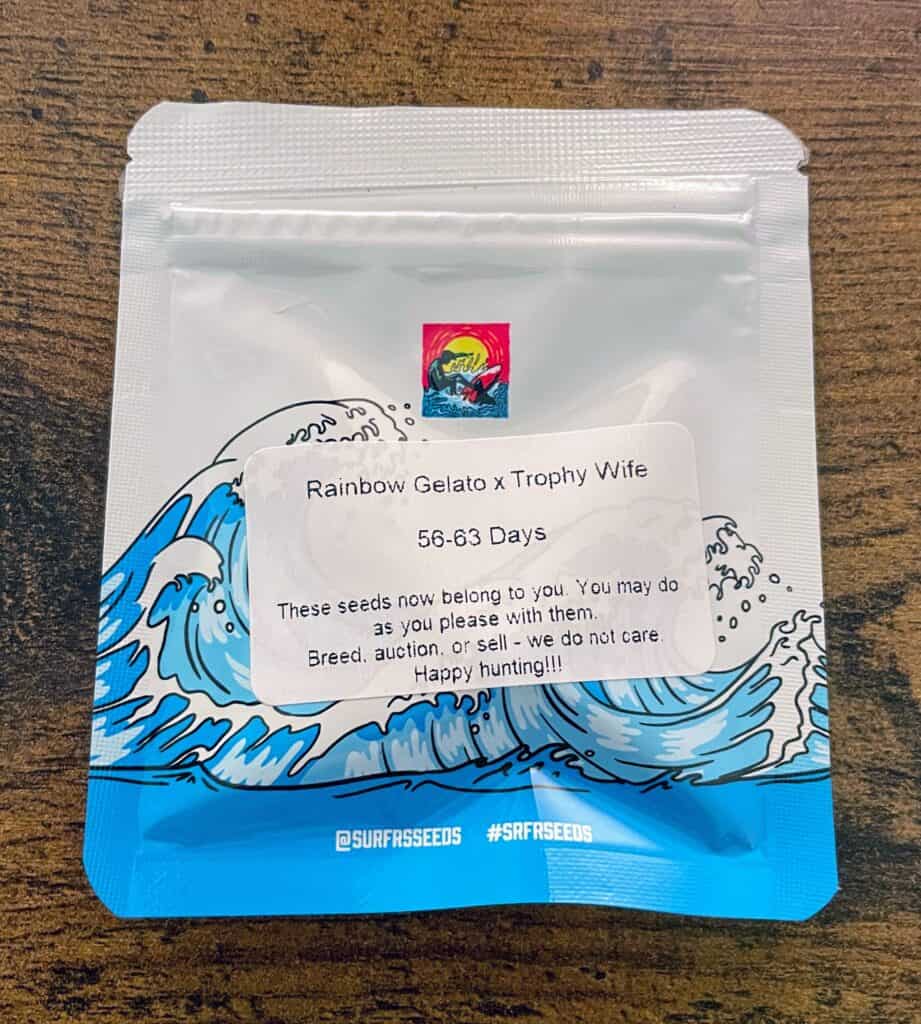 Surfr Seeds: Rainbow Gelato x Trophy Wife - Luscious Genetics