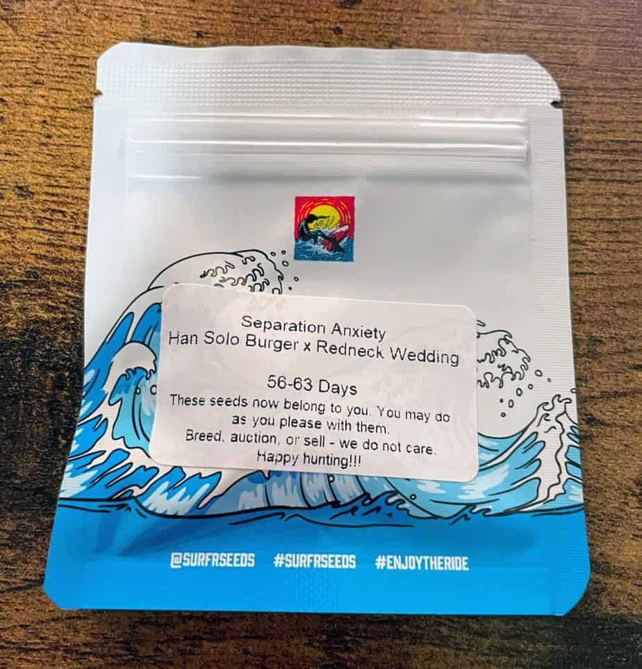 Surfr Seeds Separation Anxiety - Luscious Genetics