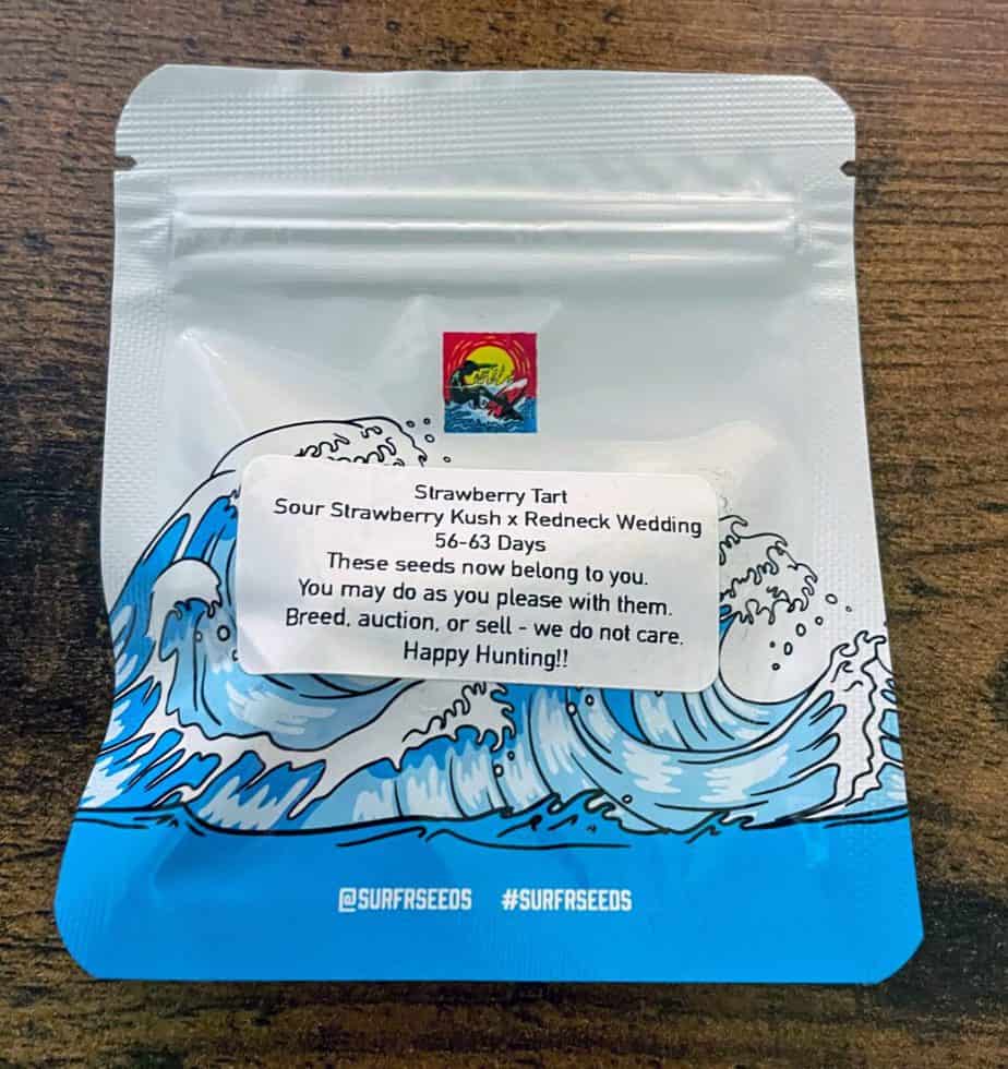 Surfr Seeds Strawberry Tart - Luscious Genetics