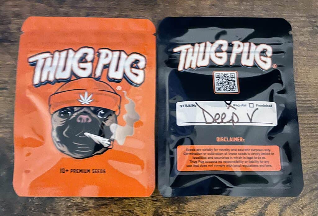 Thug Pug Genetics Deep V - Luscious Genetics