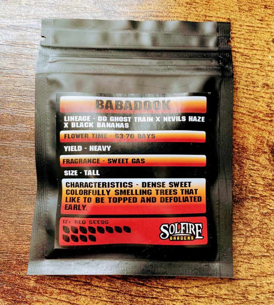Solfire Gardens Babadook - Luscious Genetics
