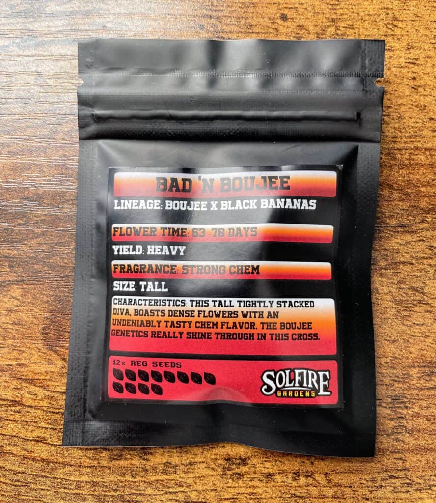 Solfire Gardens Bad N' Boujee - Luscious Genetics