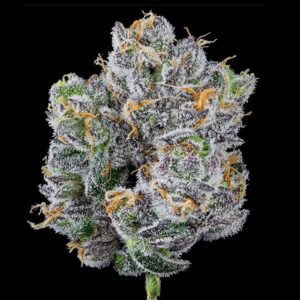 Solfire Gardens - Luscious Genetics
