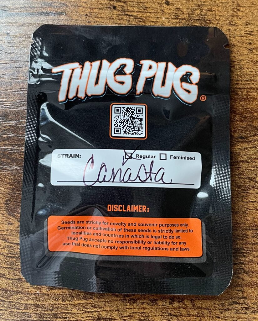 Thug Pug Genetics - Luscious Genetics