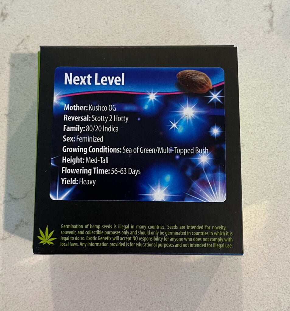 Bean Drop Genetics Devil Runtz - Luscious Genetics