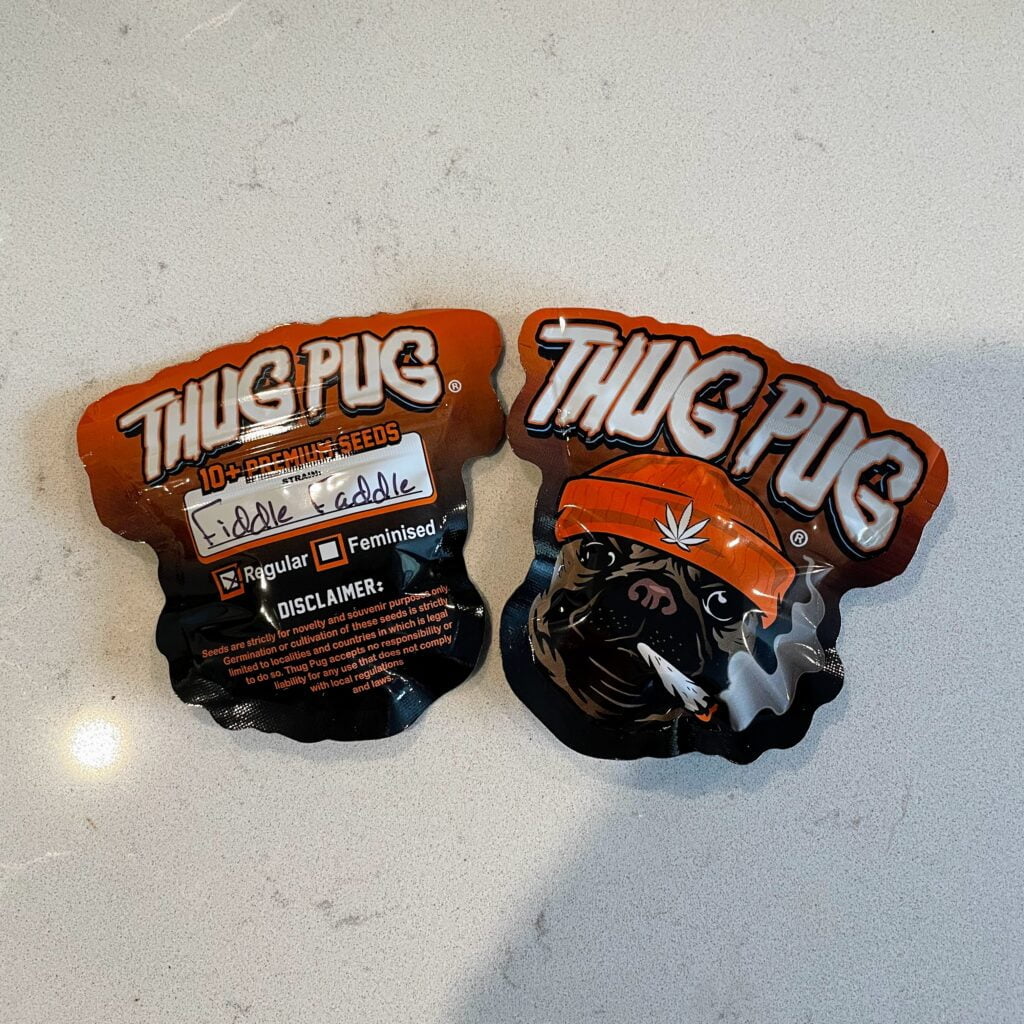 Thug Pug Genetics - Luscious Genetics