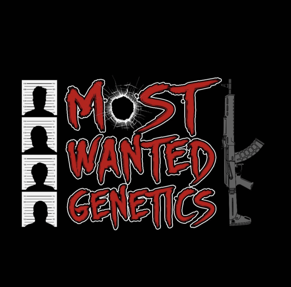 Relentless Genetics Chilled Cherries - Luscious Genetics