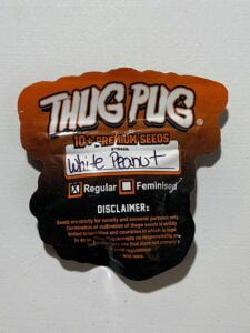 Thug Pug Genetics - Luscious Genetics