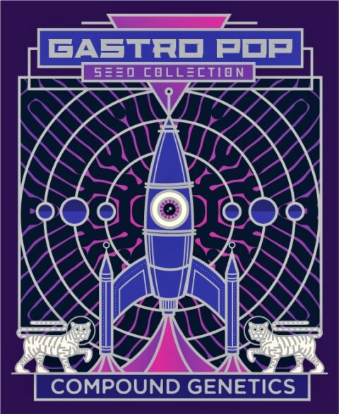 Compound Genetics Wingsuit (F) - Luscious Genetics