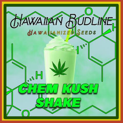 Hawaiian Budline Chem Kush Shake - Luscious Genetics
