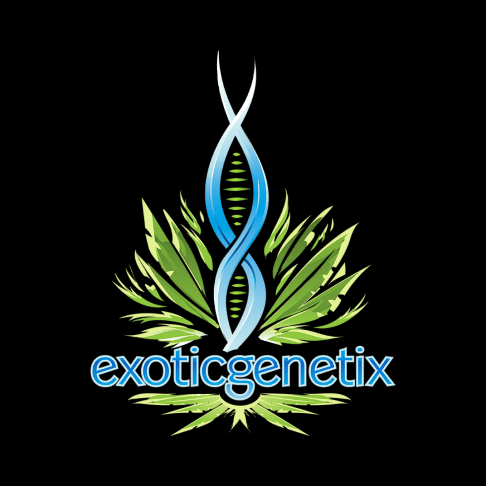 Exotic Genetix Sweat Helmet (R) - Luscious Genetics