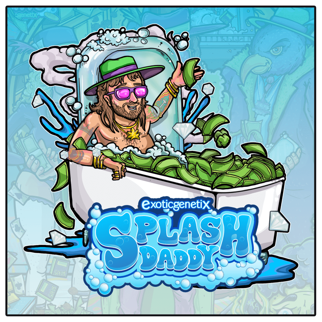 Splash Daddy - Luscious Genetics